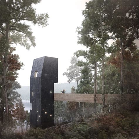 Denizen Works Designs Abstracted Tree Viewing Tower For Scottish Botanical Gardens