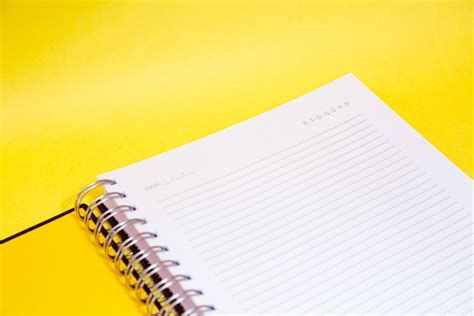 Caderno Escolar A4 Espiral Lhama Personalizado Make My Memo