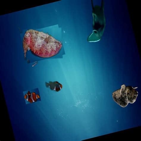 Jellyfish Object Detection Dataset By Shool