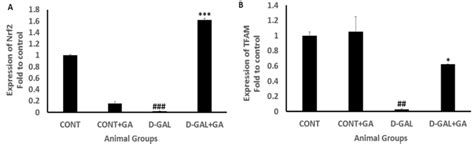 The Expression Levels Of Nrf A And TFAM B In The Heart The