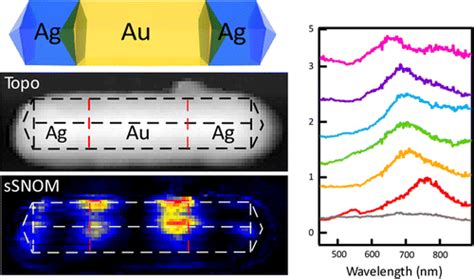 AgAuAg纳米棒的纵向等离激元的远场和近场研究 The Journal of Physical Chemistry C X MOL