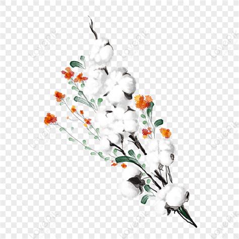수채화 일러스트 목화 꽃다발식물꽃들분기 Png 일러스트 무료 다운로드 Lovepik