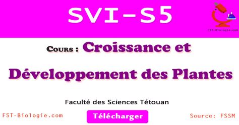 Cours De Croissance Et DÉveloppement Des Plantes S5 Pdf Svi Svt