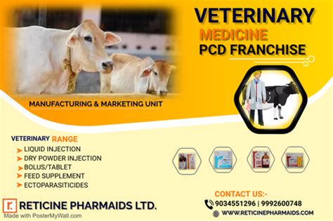 Veterinary Medicine Pcd Franchise At Best Price In Ambala Cantt