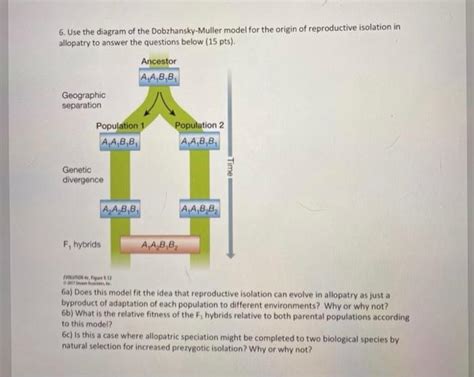 Solved 6 Use The Diagram Of The Dobzhansky Muller Model For