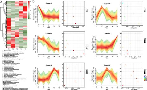 Gene Expression Profiles And Kegg Enrichment Analysis Of The Degs In Download Scientific