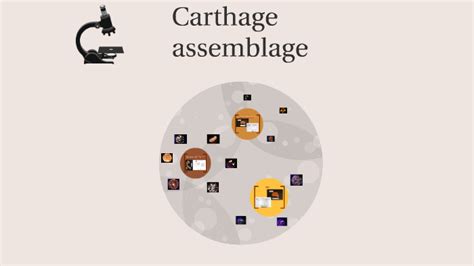 Carthage assemblage by Judit Sola Amorós on Prezi