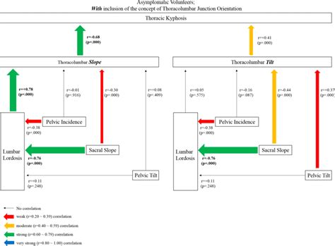 Correlations Of Thoracic Spine To Sagittal Alignment Parameters With