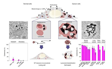 Nature Nanotechnology
