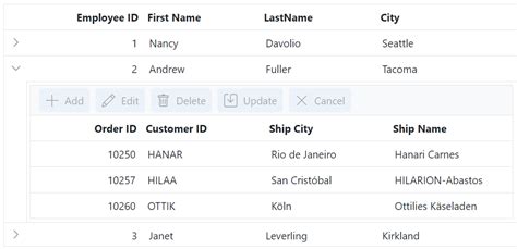 Detail Template In Blazor Datagrid Syncfusion