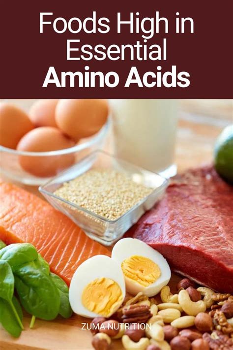 Best Protein Foods High In Essential Amino Acids Good Protein Foods