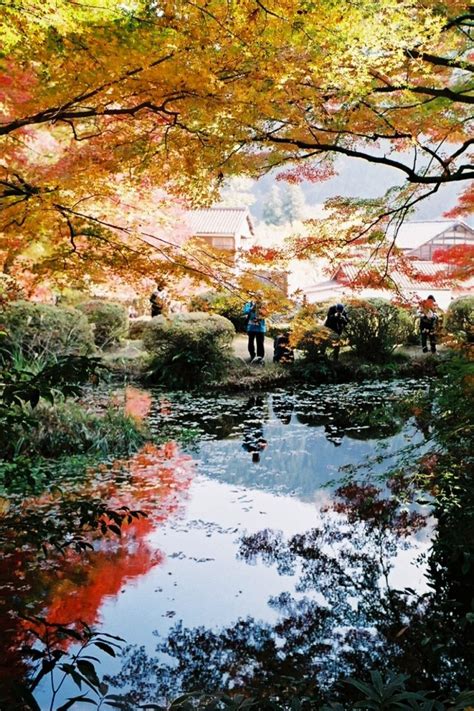 加計 吉水園 徒然自由帳