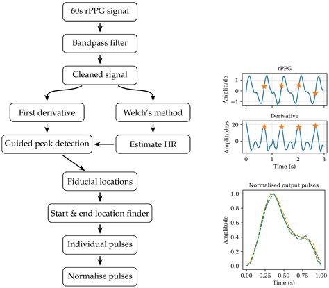 Automated Signal Quality Assessment For Rppg A Pulse By Pulse Scoring Method Designed Using