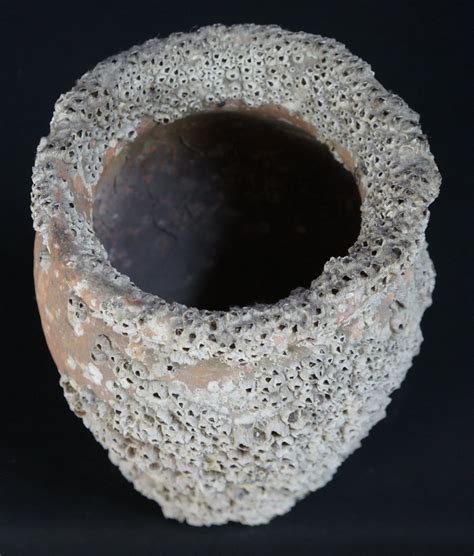 Takotsubo Vase Antique 1800