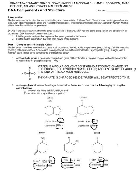 Group 5 Dna Components And Structure Ws Pdf Science And Mathematics