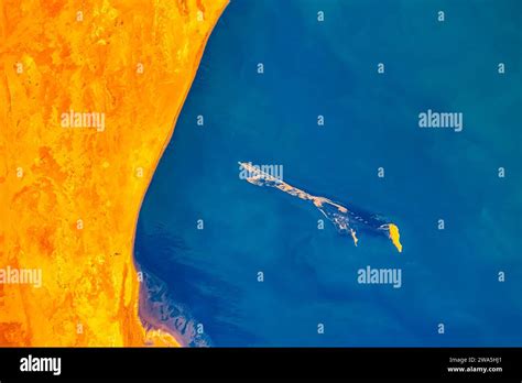 Observations Of Planet Earth From Space Digital Enhancement Of An
