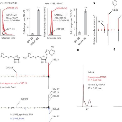 Nnmt Regulates Sam And Sah Levels In Cancer Cells A Targeted Lcms