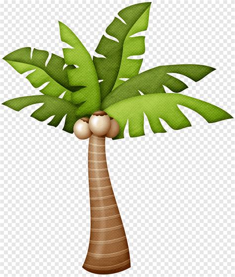 Arecaceae desenho árvore arte palmeira fotografia planta Haste png