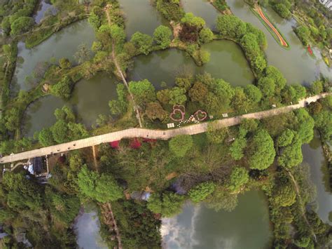 How Alibaba Founder Jack Ma Built A Global Internet Empire Maxim