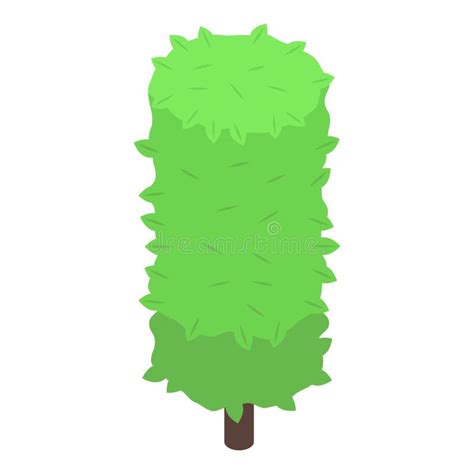 Green Tree Growing In Rectangular Shape Stock Vector Illustration Of