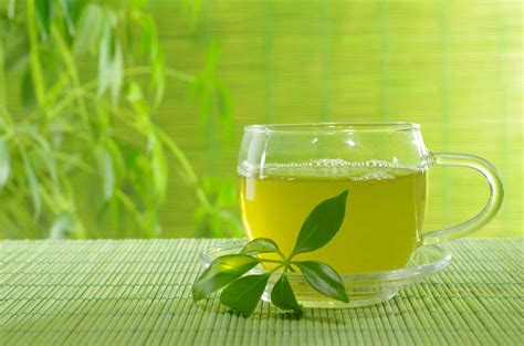 Is Green Tea Safe During Pregnancy? Quantities + Types - Baby Facts