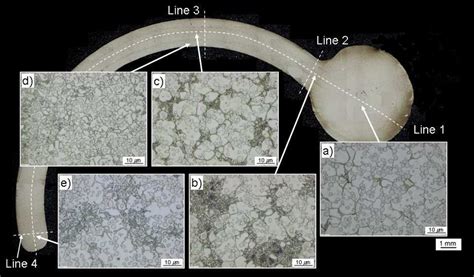 Macrograph Of A Section Through The Curved Product With Detailed