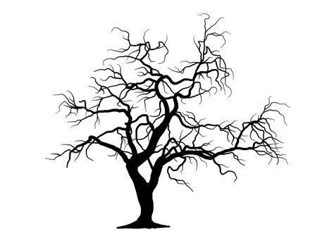 Black Branch Tree Or Naked Trees Silhouettes Hand Drawn Isolated Illustrations Vector