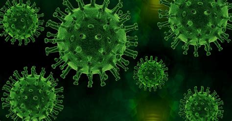 Sars Cov 2 Pathogenesis
