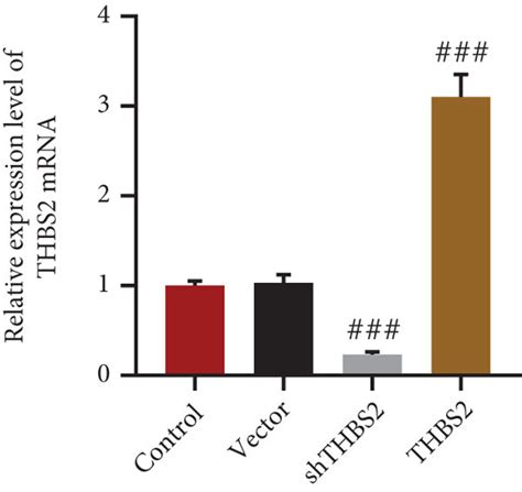 Thbs2 Mediated Od Of Vics A And B Relative Mrna A And Protein