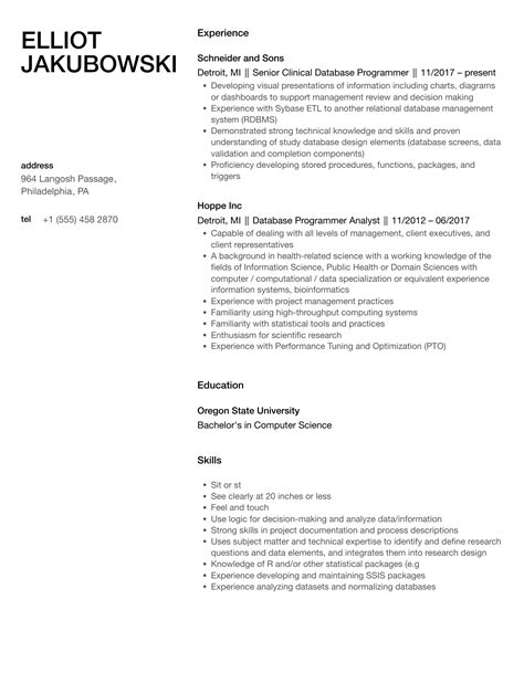 Database Programmer Resume Samples Velvet Jobs