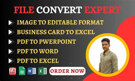 Provide Pdf To Word Excel File Conversion And Convert To Editable