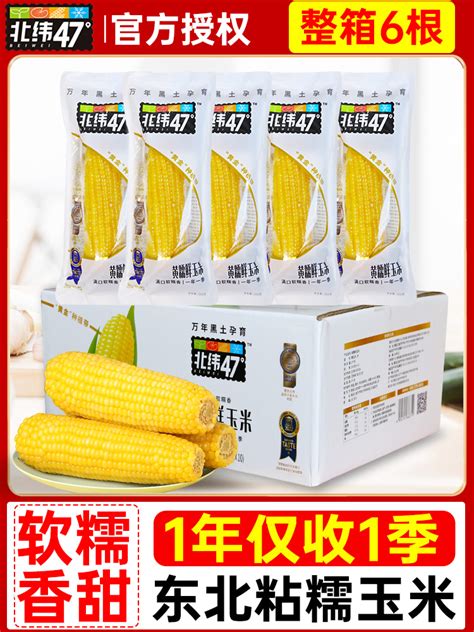 北纬47度玉米北纬47度鲜糯玉米旗舰店北纬47度黄糯鲜玉米 Taobao