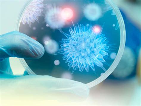 Gestão Em Controle De Infecção Para Setores De Apoio Corporativo