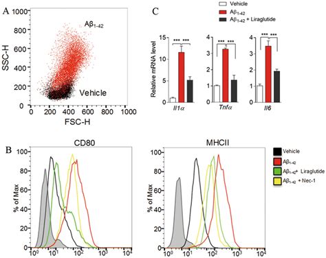 Morphology And Activity Measurement Of Bv2 Cells Upon The Aβ1 42