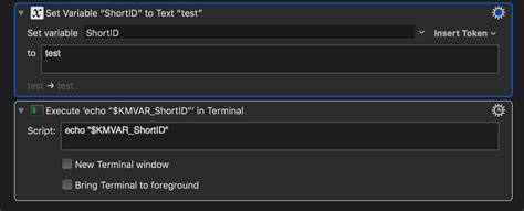 Using Keyboard Maestro Variable In ‘execute A Script In Terminal