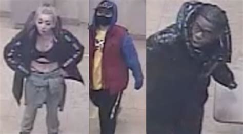 Police Looking To Identify Suspects In Kitchener Stabbing Citynews