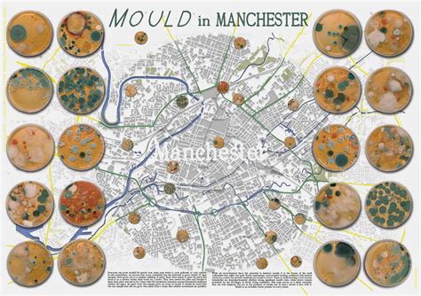 The Matrix Like AI Project Among Proposals From The Manchester Babe Of Architecture Dezeen