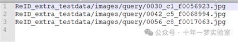 【opencv】dnn示例 Personreidcpp 人员识别（reid，re Identification）系统 Csdn博客
