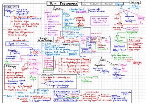 Twin Pregnancy Mind Map Download Free Pdf Twin Multiple Births