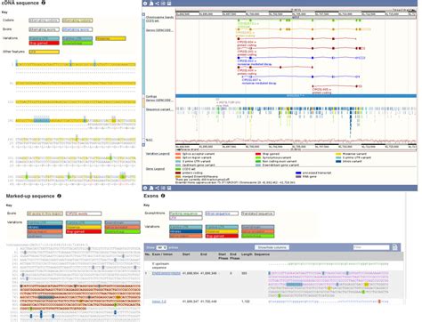 Ensembl Accounts Theyre Free Are They For Me Ensembl Blog