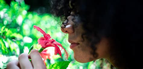 Practical Guide To Smell Retraining After Sinus Surgery Sinusdoctor