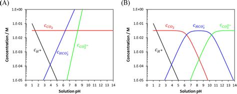 Distribution Of Dissolved Species In An Aqueous CO2 Solution At 25 C