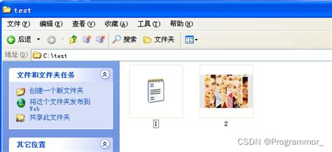 一个简单的木马程序分析 startupinfo hstdinput socket csdn博客