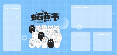 猫咪晒背景图片 猫咪晒背景素材图片 千库网