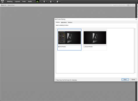 How To Add Pointer Markings On A Page In Adobe Connect During