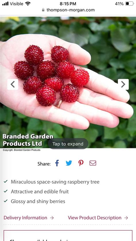 Hararasp Or Raspberry Tree General Fruit Growing Growing Fruit