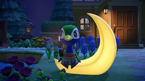 Nini From Potatown — Potatowns Newest Resident Julia