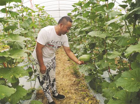 文艺调演赞民生 滁州新闻 滁州资讯