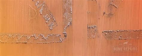 How To Remove Adhesive Tape From Wood Floors