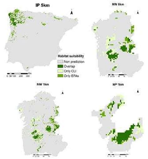 Spatial Projections Of Habitat Suitability For Iris Boissieri Derived